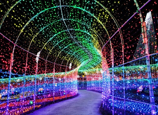Winter Illuminations in Japan – Art De Tama Studio